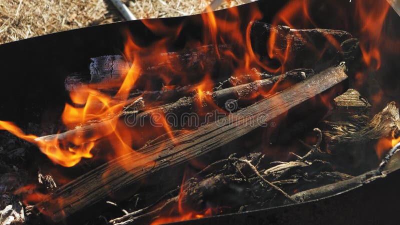 Firewood Burns Brightly in the Grill and Light Smoke Stock Footage ...
