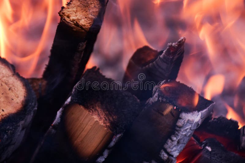 Firewood Burns in a Red Flame during a Fire Stock Image - Image of ...