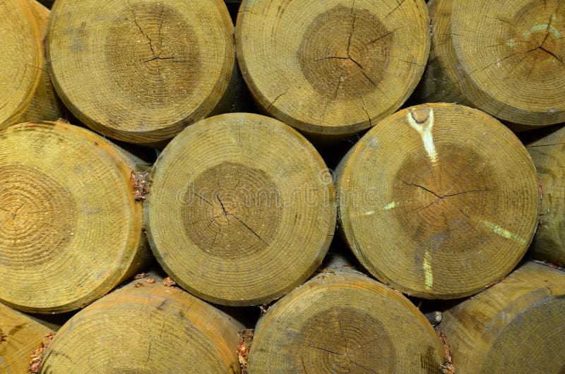 Firewood stock photo. Image of resources, stacked, winter - 57043910