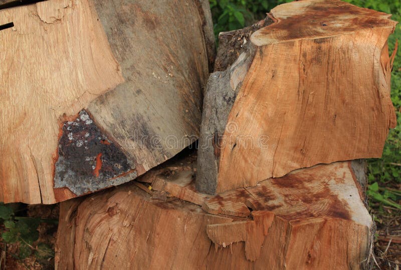 Firewood stock image. Image of grass, nature, brown, closeup - 77234167