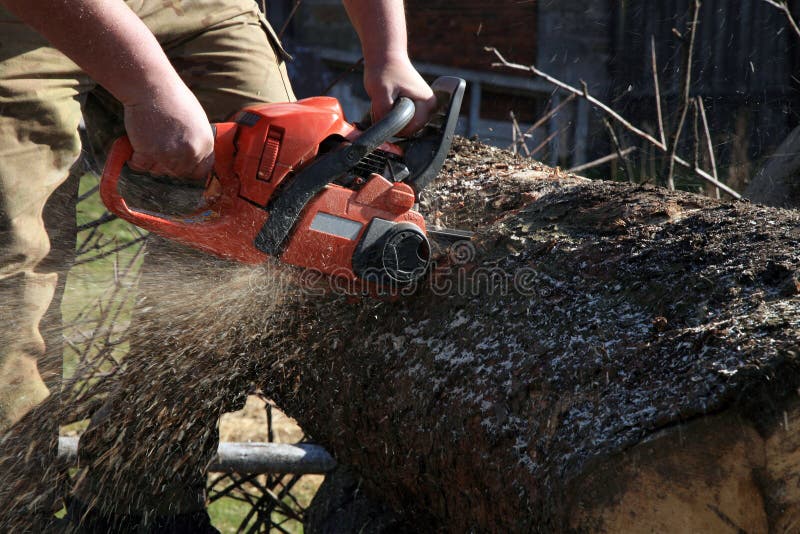 Firewood cut stock image. Image of profession, blade - 24845307