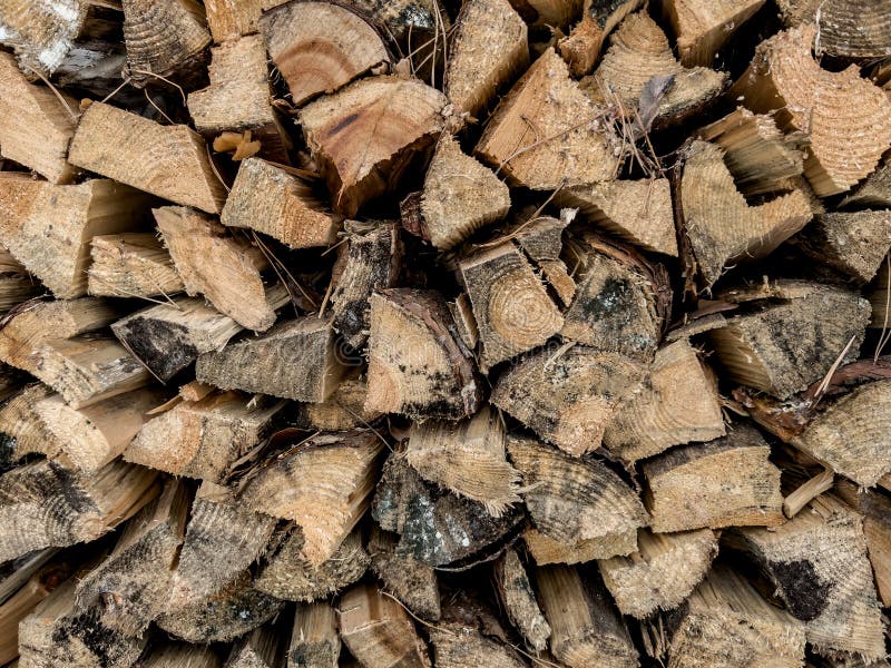 Firewood Cut, Split into Pieces and Stacked Stock Photo - Image of ...
