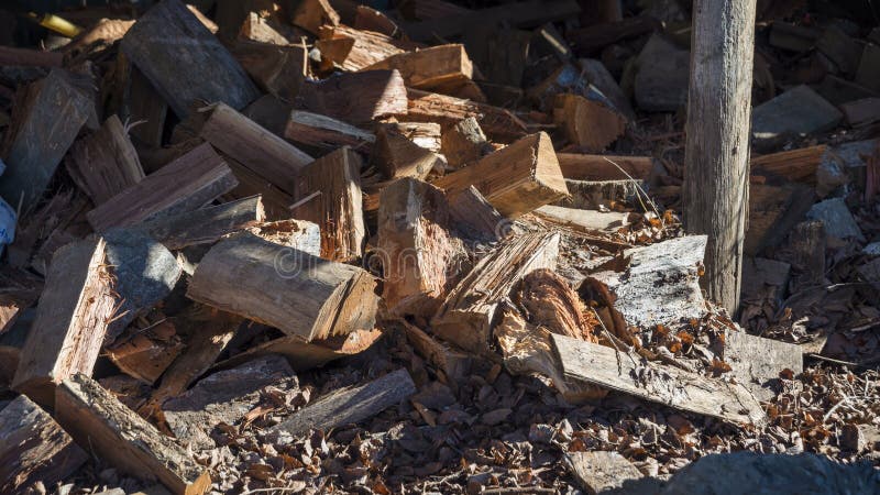 Open-sided Hut in a Field with Dense Greenery Under the Thin Clouds ...