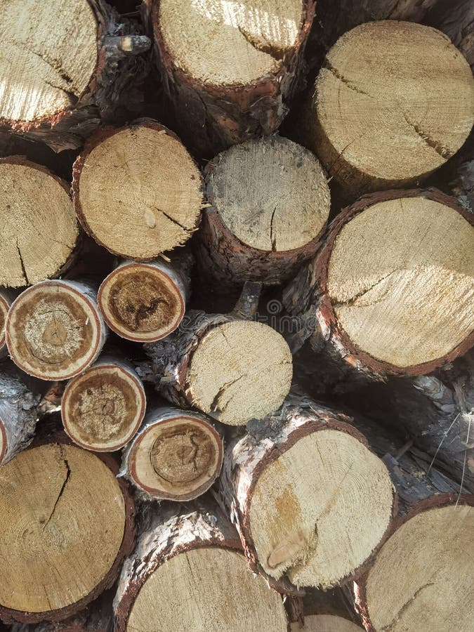 Unsplitfirewood Stock Photos - Free & Royalty-Free Stock Photos from ...