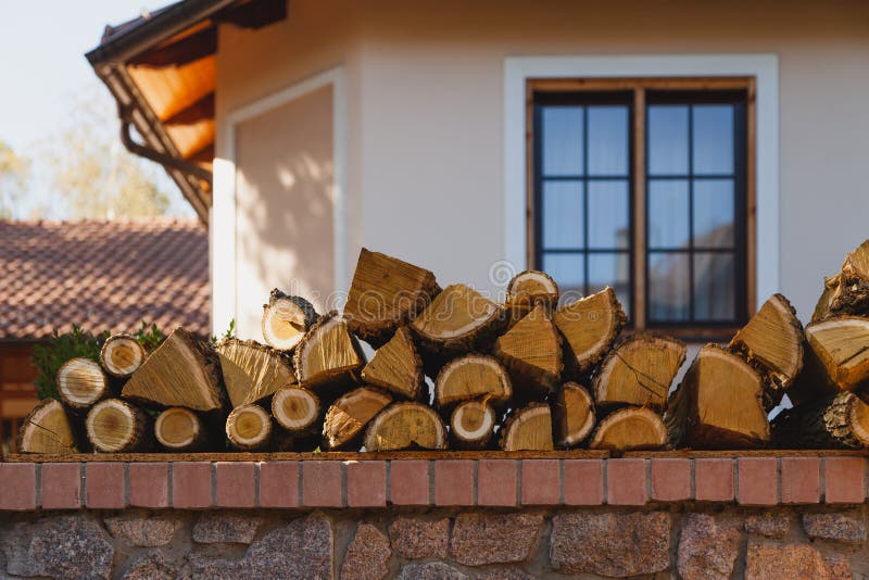 Firewood of Different Shapes Piled with Bunch Stock Image - Image of ...