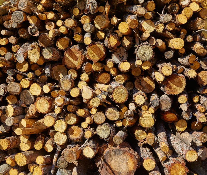 Firewood Fire Wook Pattern Texture Stock Photo - Image of round, brown ...