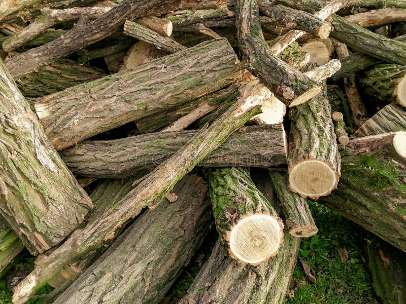 Firewood on the Firebox of the House. Wood for Firewood on a Pile. a ...