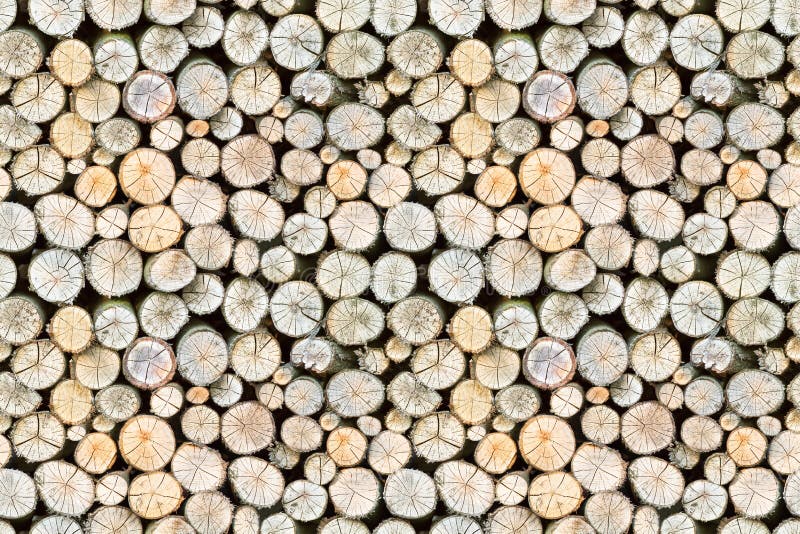 Firewood Free-standing Stack, Seamless Pattern Stock Image - Image of ...