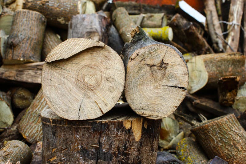 Firewood for Heating. the Tree is a Solid Massif. Trunks of Various ...