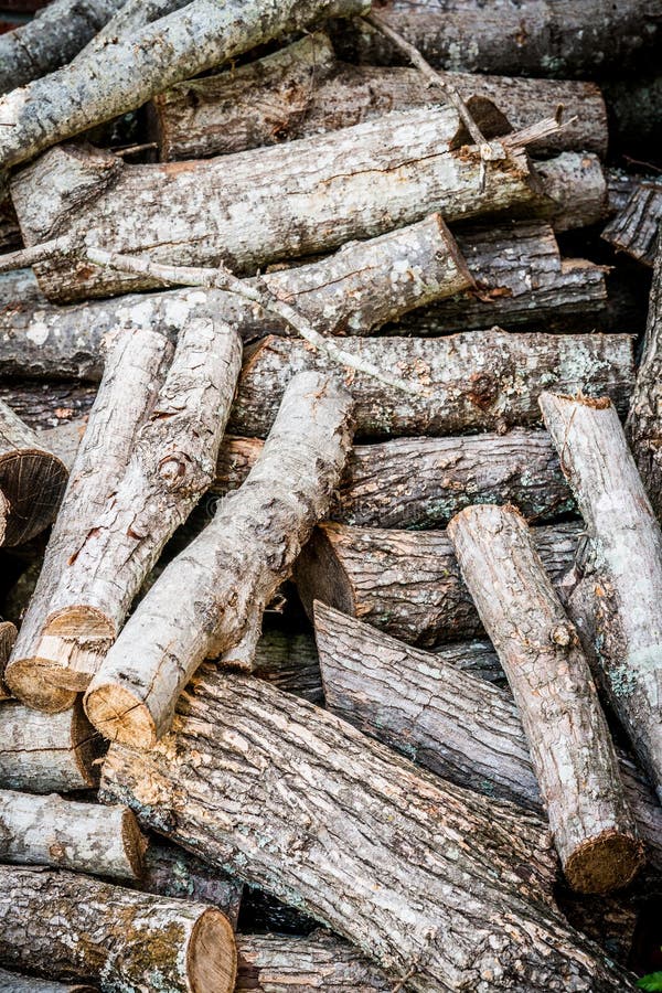 Firewood Logs for Burning stock image. Image of winter - 120299965