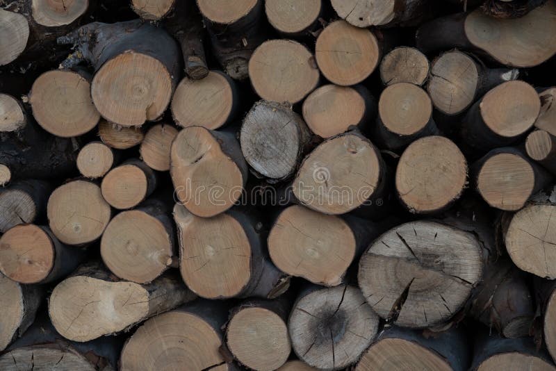 Firewood Logs of Different Sizes Stacked Stock Image - Image of fire ...