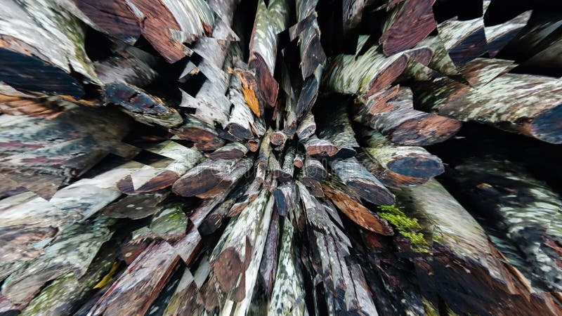 Firewood Logs Nature Abstract Art Stock Illustration - Illustration of ...