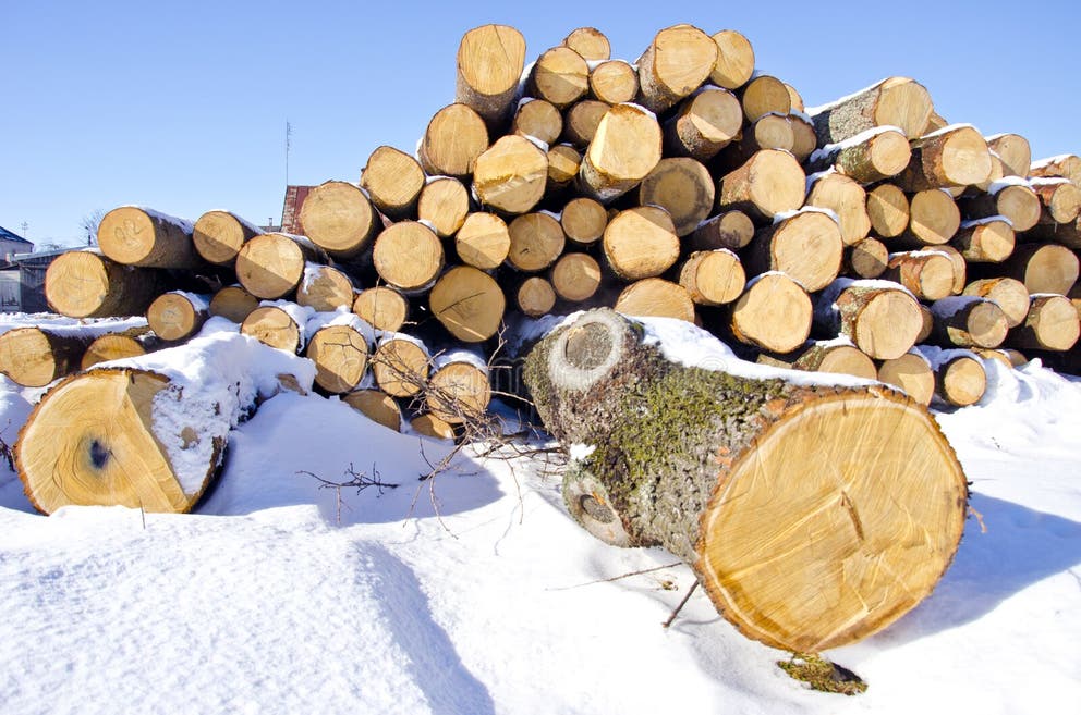 Firewood Stack on Winter Snow Stock Image - Image of winter, biofuels ...