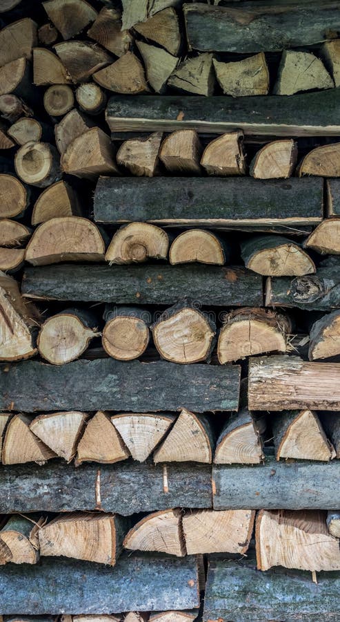 Vertical stack of firewood stock photo. Image of stacked - 146097794