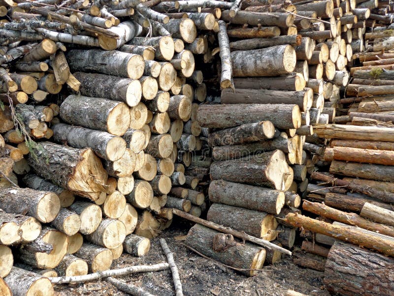 Firewood stock image. Image of store, bark, storage, firewood - 39730533