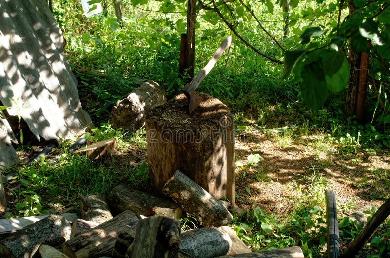 Firewood Lying in the Garden Under a Tree Stock Photo - Image of tree ...