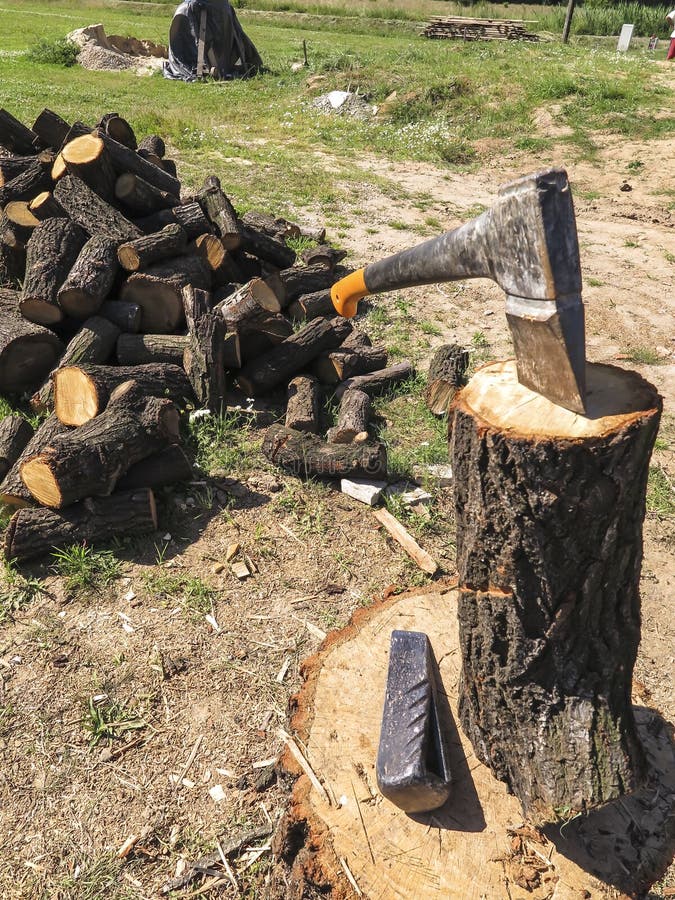 Oak Cut Into Pieces As Fuel Stock Photo - Image of tree, plant: 56280820