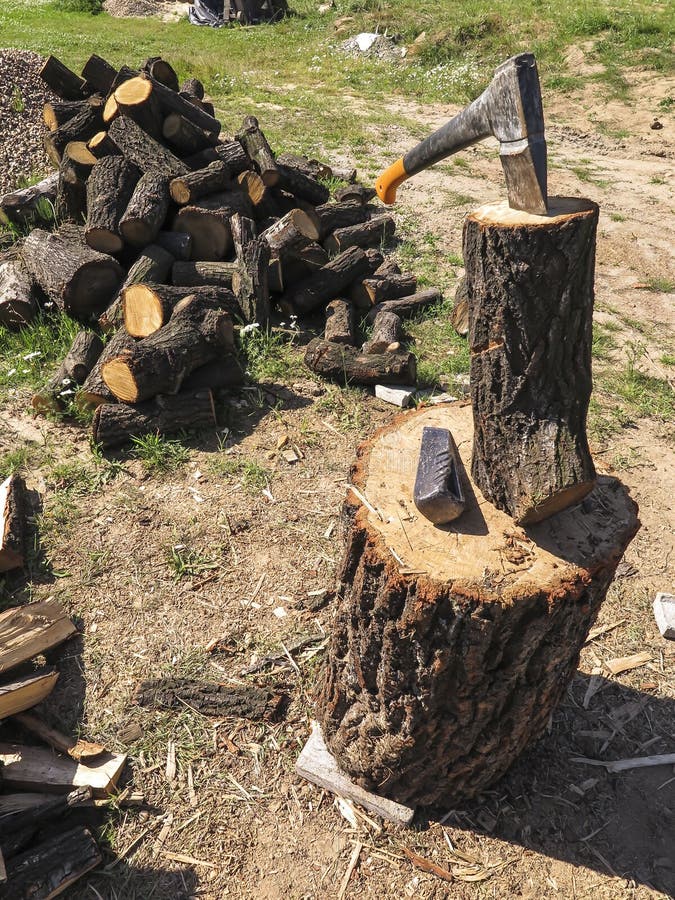 Oak Cut Into Pieces As Fuel Stock Photo - Image of tree, plant: 56280820