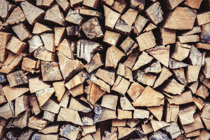 Firewood - Oak Tree and Ash Tree Stock Image - Image of rural, fuel ...