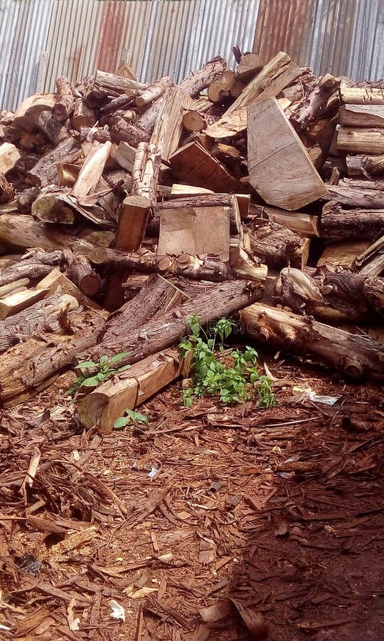 Firewood pic stock image. Image of wood, firewood, tree - 119677837