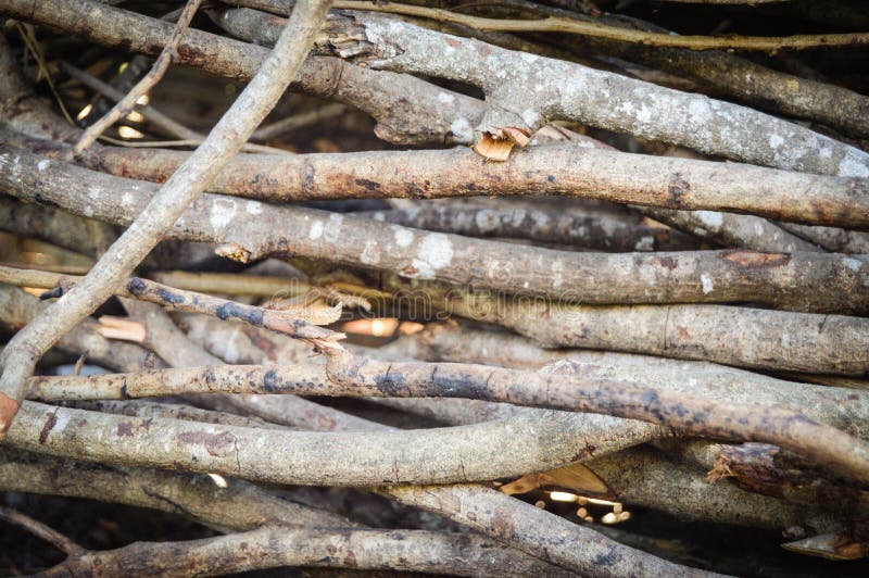 Firewood pile. stock photo. Image of branch, field, detail - 151336846