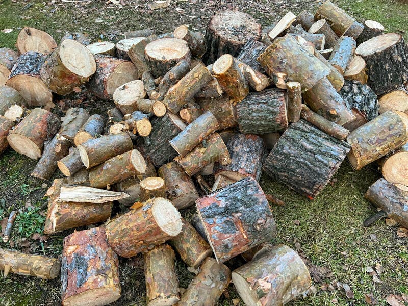 Firewood, Pine, Cut, Split and Stacked To Dry, Close-up As Background ...