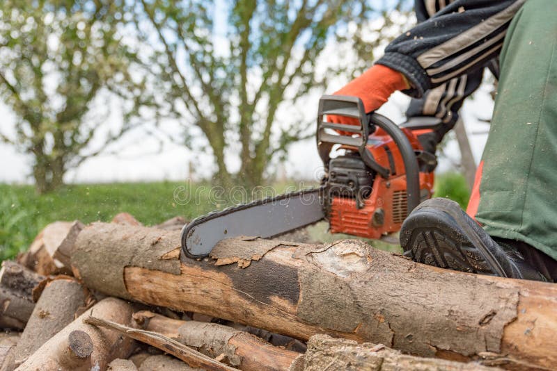Firewood Saws with a Chainsaw Stock Photo - Image of work, chainsaw ...