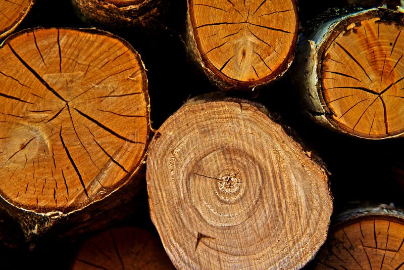 Firewood stack stock photo. Image of rural, environment - 21200638