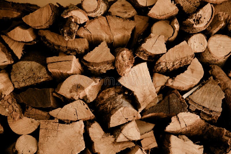 Spruce Bark Texture Seamless Stock Photos - Free & Royalty-Free Stock ...