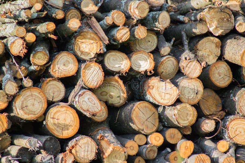 Firewood stack. stock image. Image of fuel, lumber, forestry - 42073479