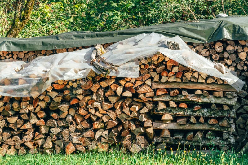 Firewood Stack on Farm, Large Pile of Chopped Wood Stock Photo - Image ...