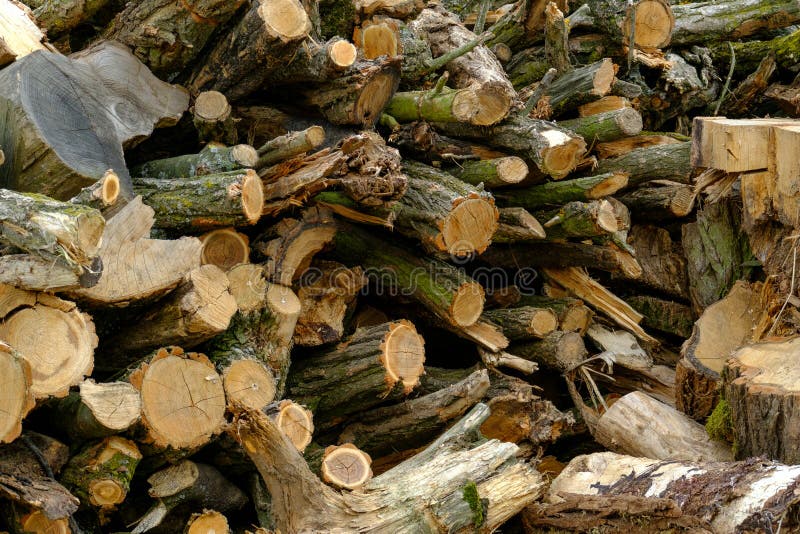 Firewood in stack stock image. Image of trunk, nature - 73420317