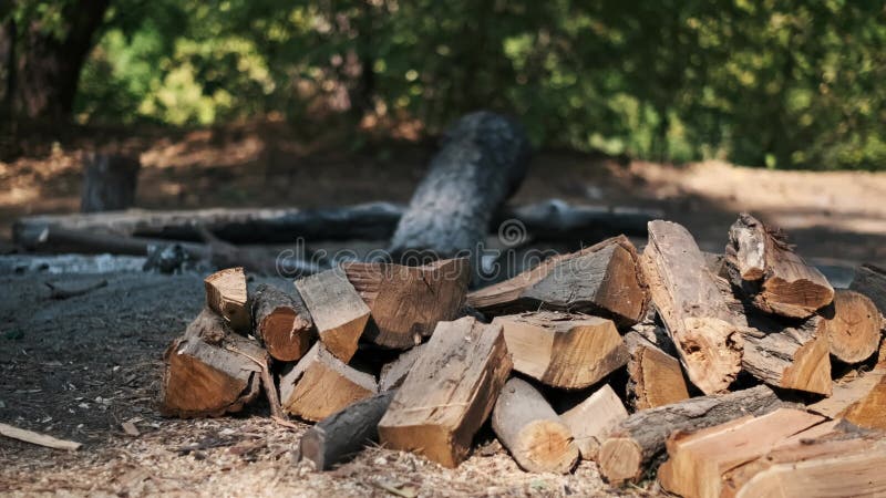 Firewood Stack: Ready for a Campfire Stock Video - Video of cozy ...