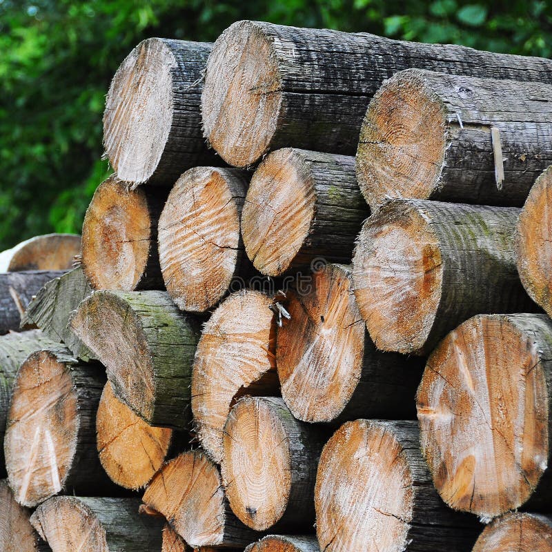 Firewood stock photo. Image of bark, firewood, outdoors - 46726836