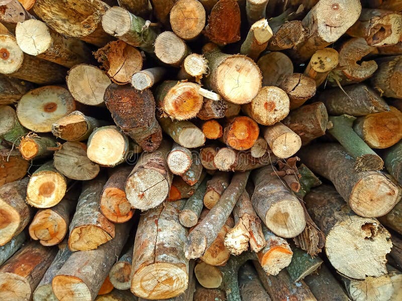 Firewood Stacked Very High for Firewood at Home Stock Photo - Image of ...