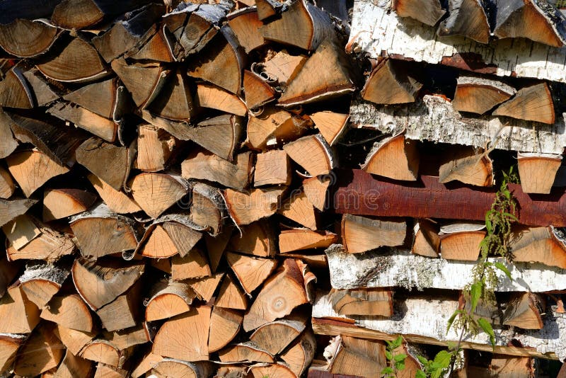 Firewood texture close up. stock image. Image of tree - 83052775