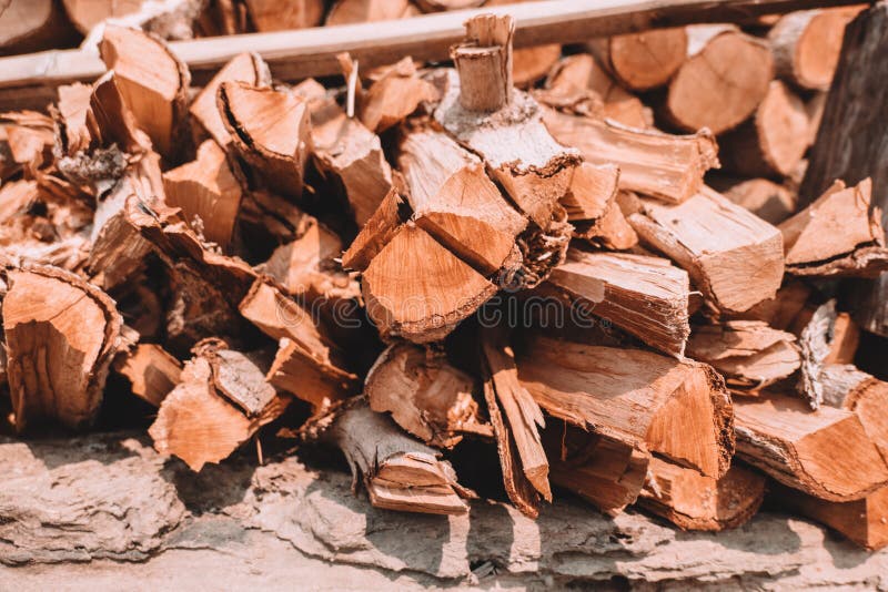 Firewood tree cut log stock image. Image of pattern - 114304275