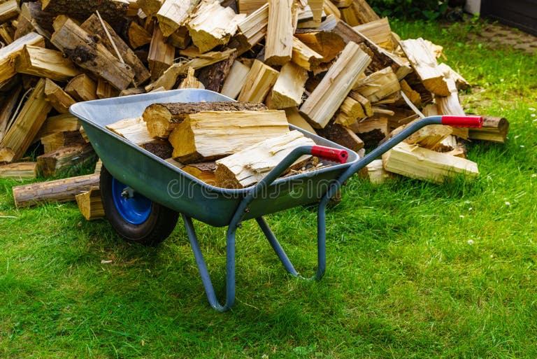 Firewood and wheelbarrow stock photo. Image of energy - 343052618
