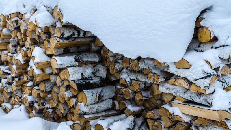 Firewood in winter on snow stock photo. Image of snow - 118884090