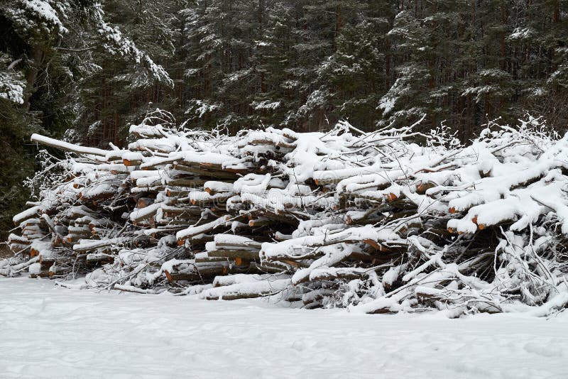 Firewood in a Winter Warehouse that Covered the Snow Stock Image ...