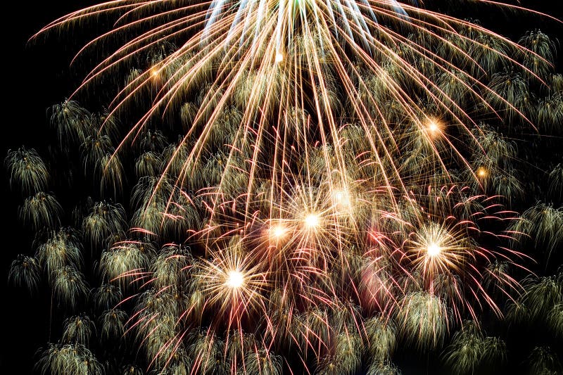 Firework stock photo. Image of flower, flash, explosion - 19083390