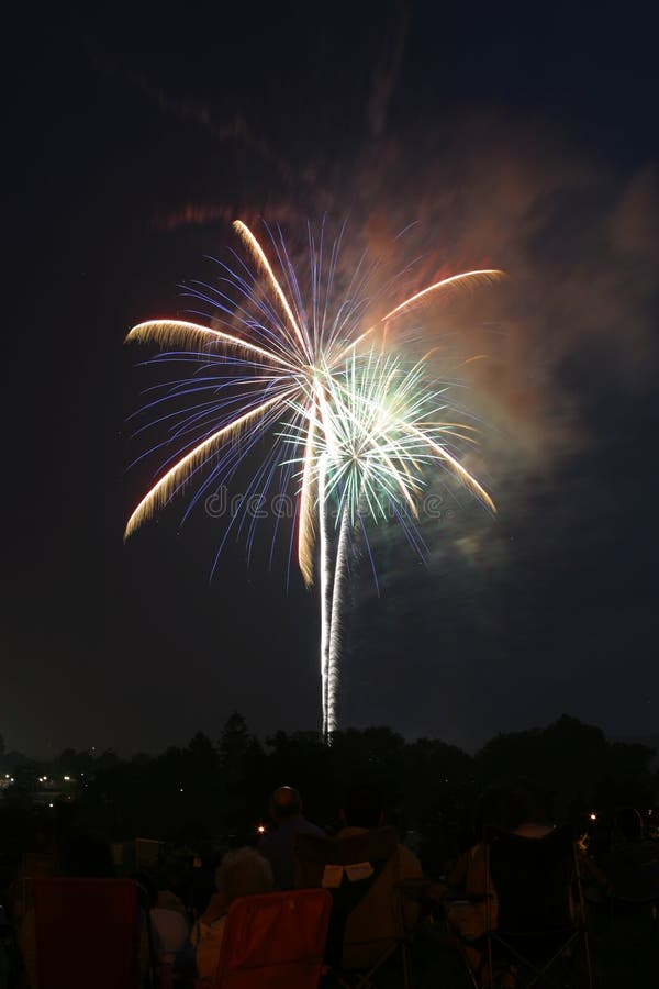 Firework Display stock photo. Image of palm, firework - 1287600