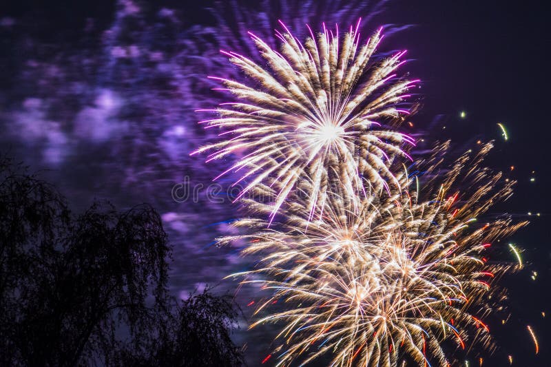 Firework Fireworks Celebration Gold Red Purple Blasts Tree Stock Image ...