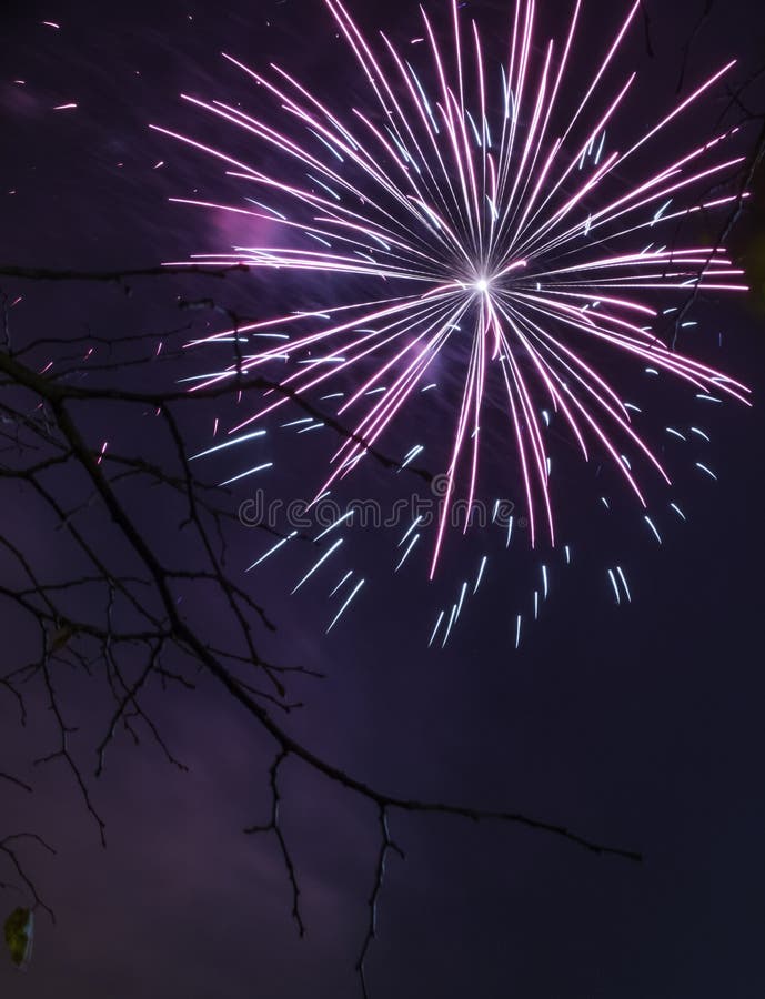 1,023 Firework Trees Stock Photos - Free & Royalty-Free Stock Photos ...