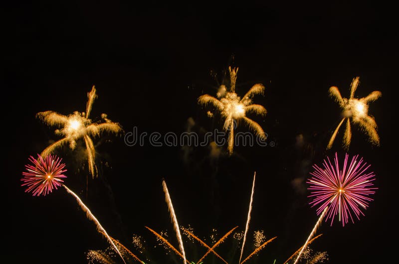 Fireworks,beautiful Fireworks in the Dark Sky Stock Photo - Image of ...