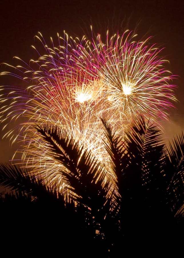 Fireworks Behind a Palm Tree Stock Photo - Image of holiday, silhouette ...