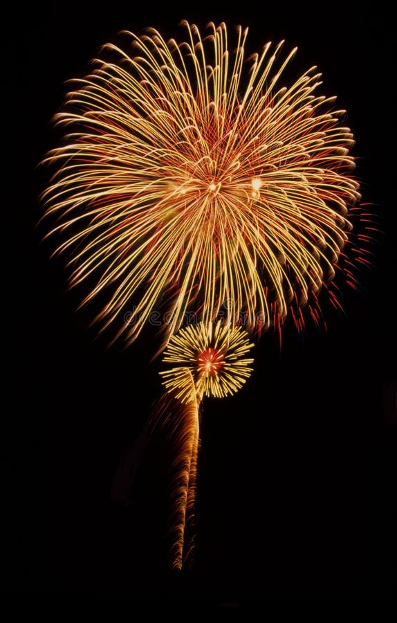 Fireworks bloom stock photo. Image of beautiful, dark - 9678314