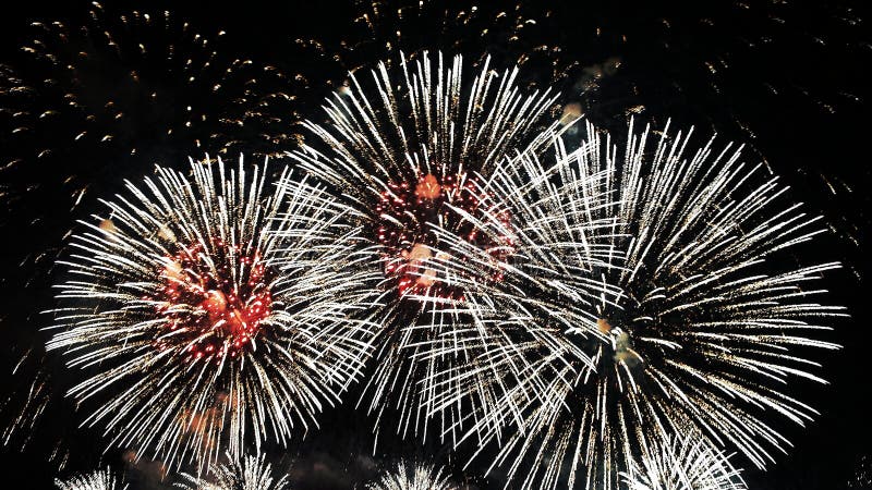 Fireworks in the dark stock image. Image of tree, newyear - 58378293