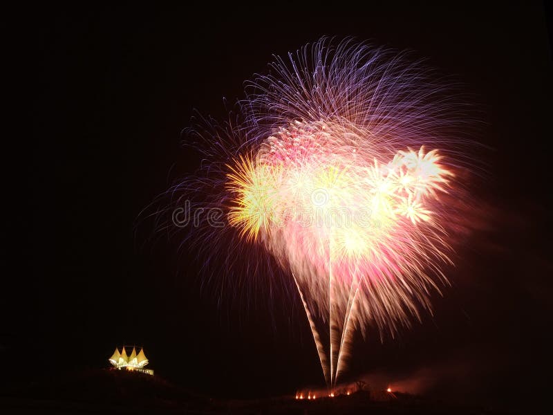 Coconut Treendisplay Stock Photos - Free & Royalty-Free Stock Photos ...