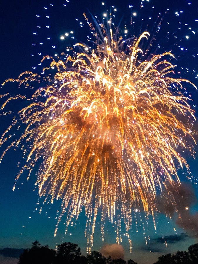 Golden Shower, Purging Cassia ( Cassis Fistula Linn ) Stock Image ...